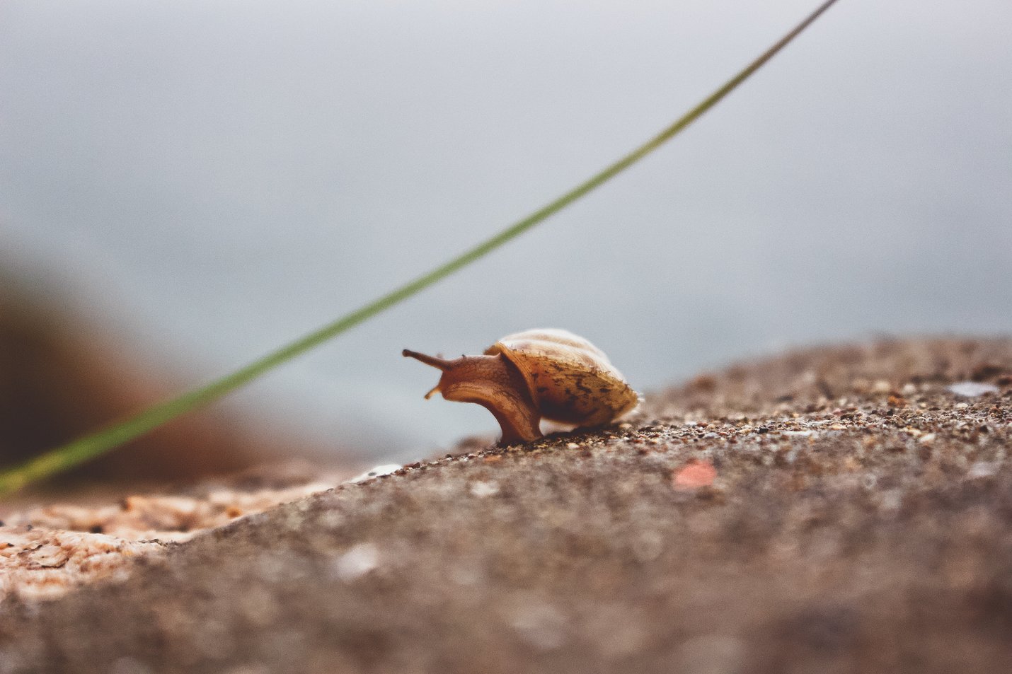 Six Ways Poor Contract Management Slows Down the Contract Process